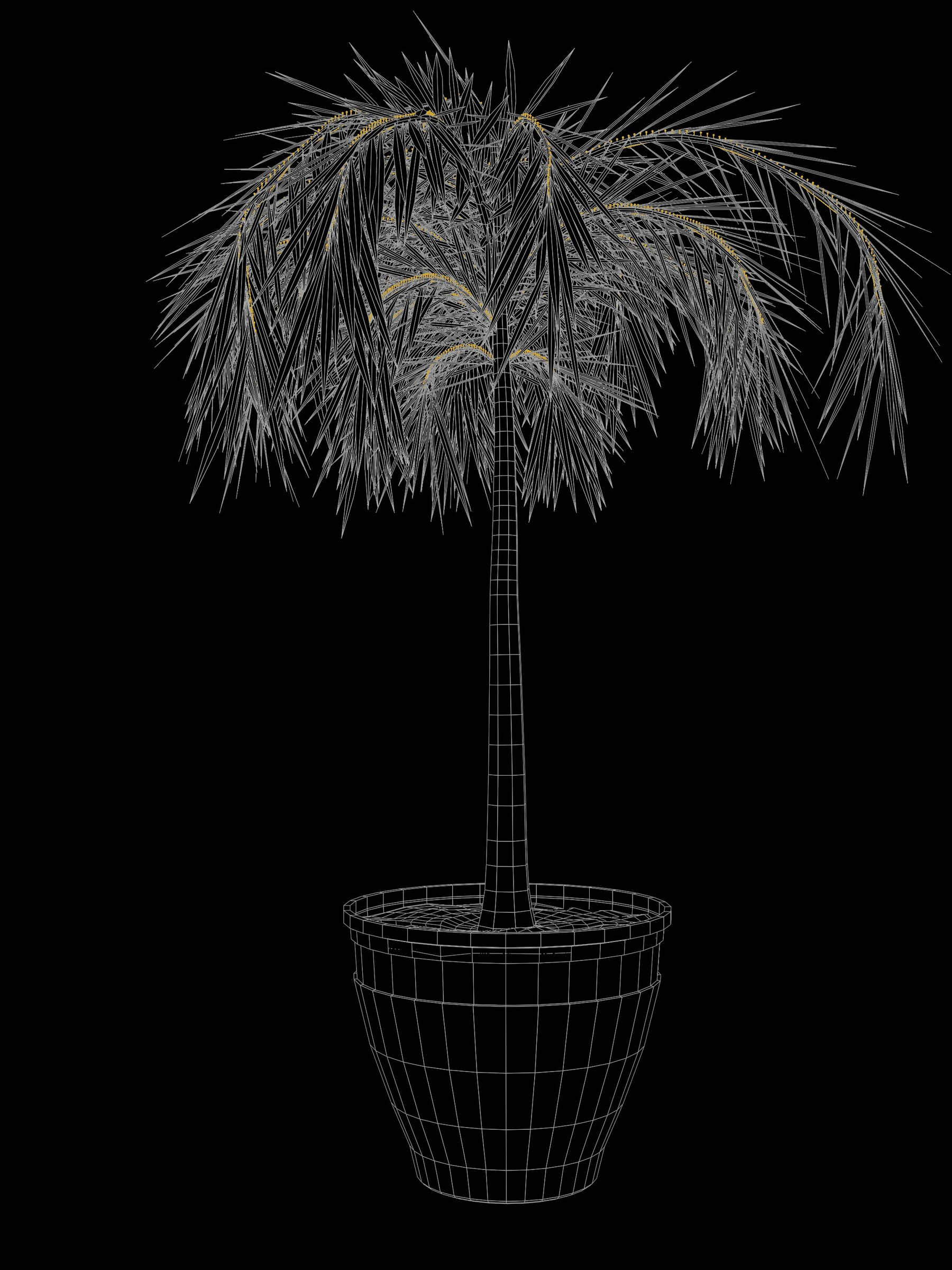 ArtStation - Potted Palm tree Animated and Rigged Low-poly 3D model ...