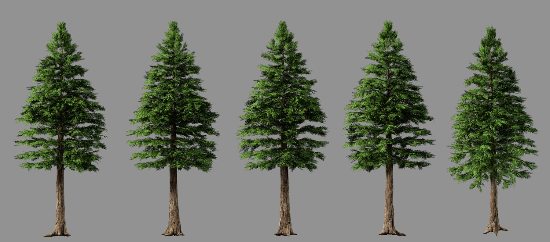 ArtStation - Pine Tree | Resources