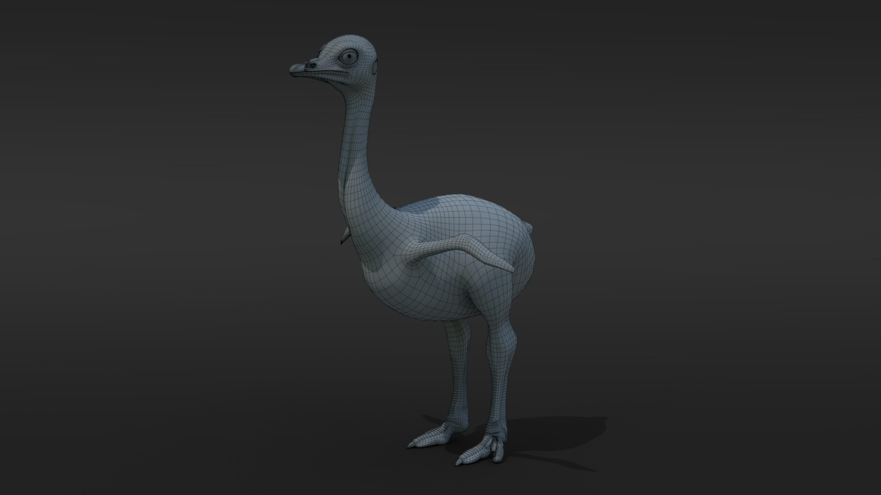 ArtStation - 3D Animal | Young Ostrich Animated | Resources