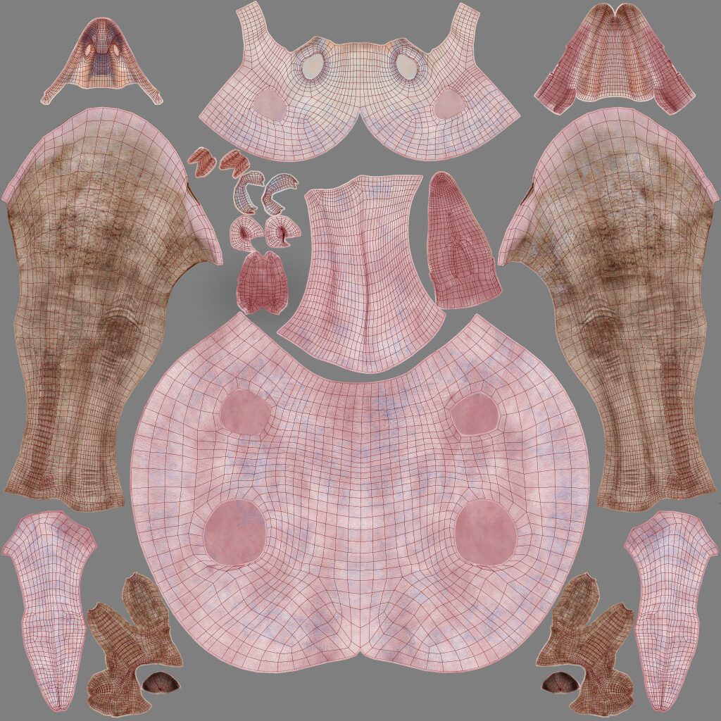 ArtStation - 3D Animal | Young Ostrich Animated | Resources