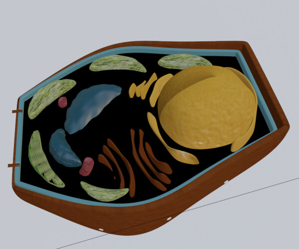 ArtStation - Plant Cell | Game Assets