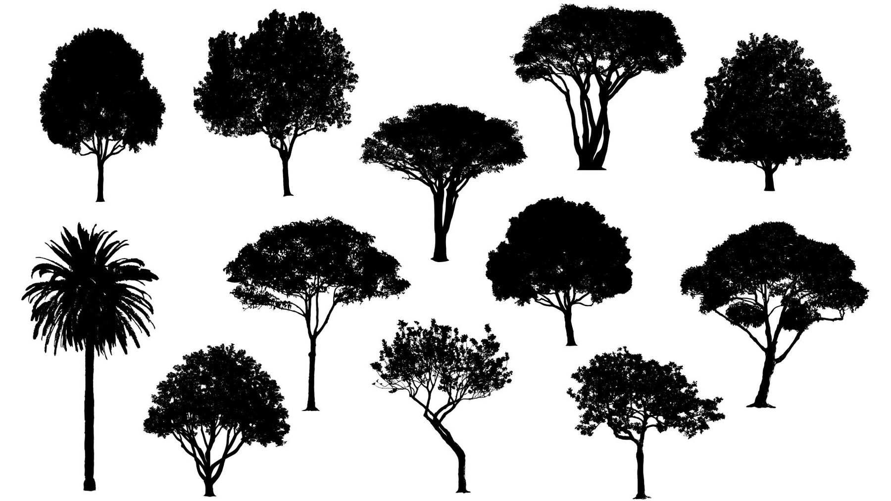 ArtStation - Vector various trees in silhouette pack 2 | Game Assets