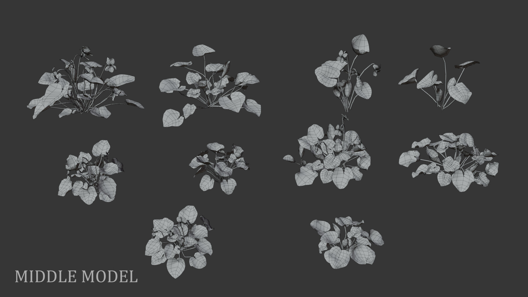 ArtStation - 3D Flower | Sweet Violet | Resources