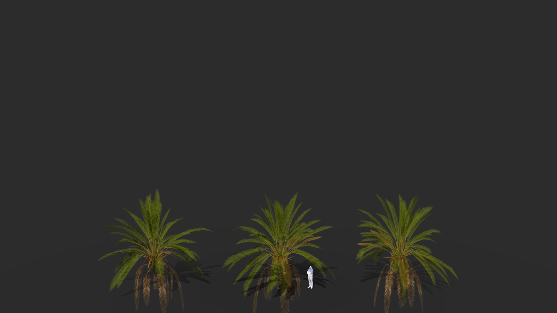 ArtStation - Phoenix Dactylifera Palm Tree | Game Assets