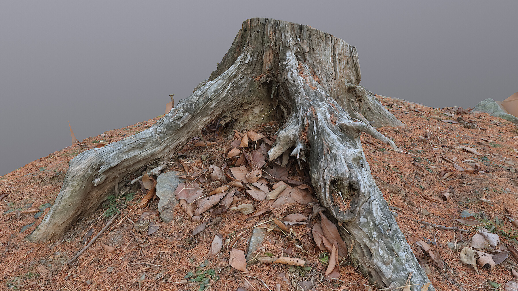 ArtStation - Photoscan_OBJ_0078_only HighPoly Mesh (16K Texture) | Game ...
