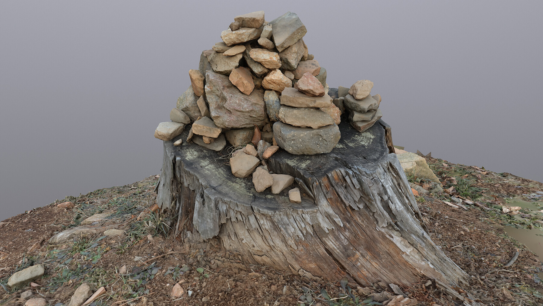 ArtStation - Photoscan_OBJ_0083_only HighPoly Mesh (16K Texture) | Game ...