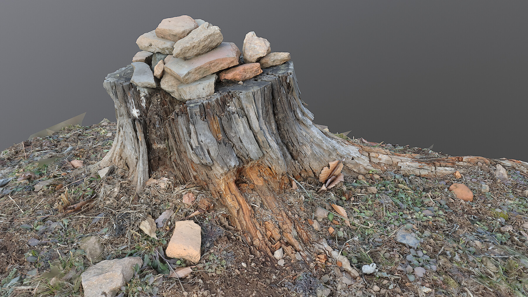 ArtStation - Photoscan_OBJ_0085_only HighPoly Mesh (16K Texture) | Game ...