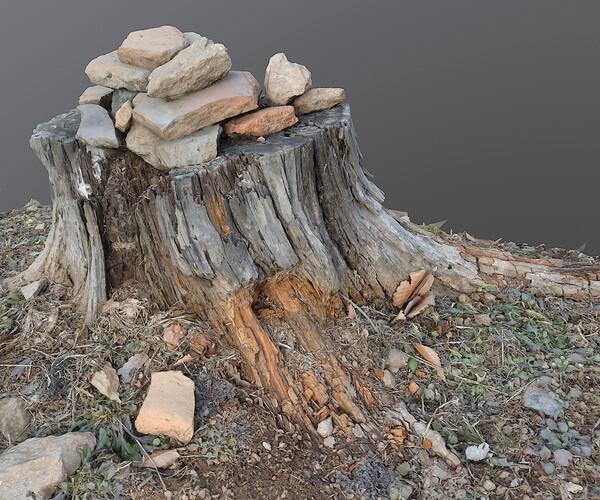 ArtStation - Photoscan_OBJ_0085_only HighPoly Mesh (16K Texture) | Game ...