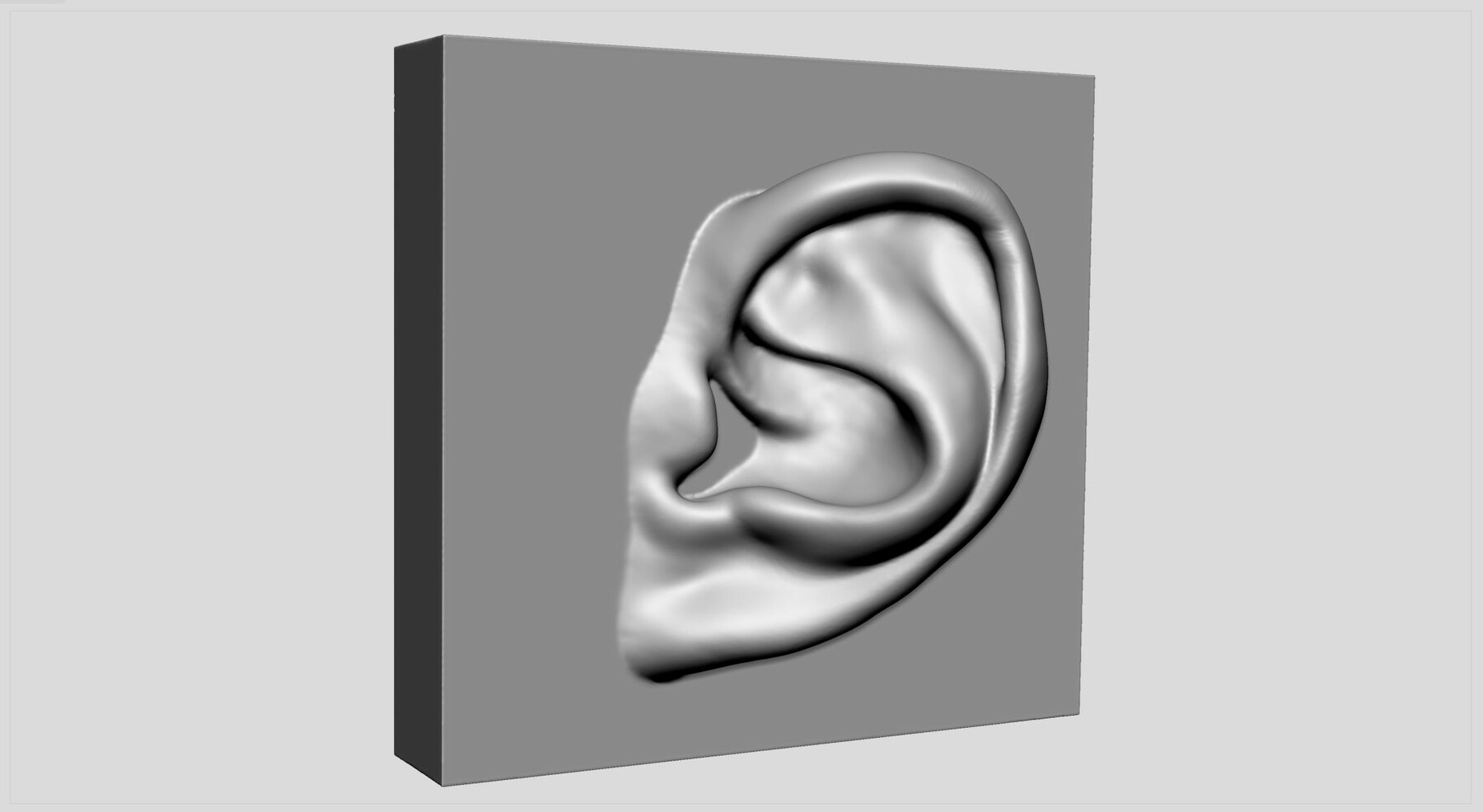 ArtStation - Ear Printable | Resources