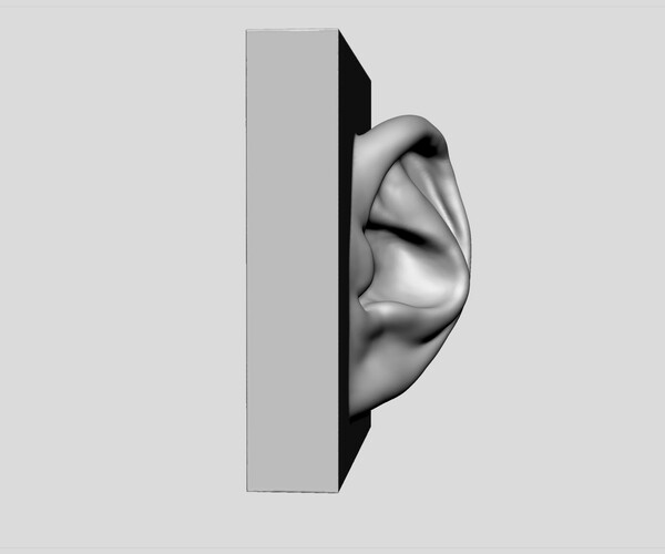 ArtStation - Ear Printable | Resources