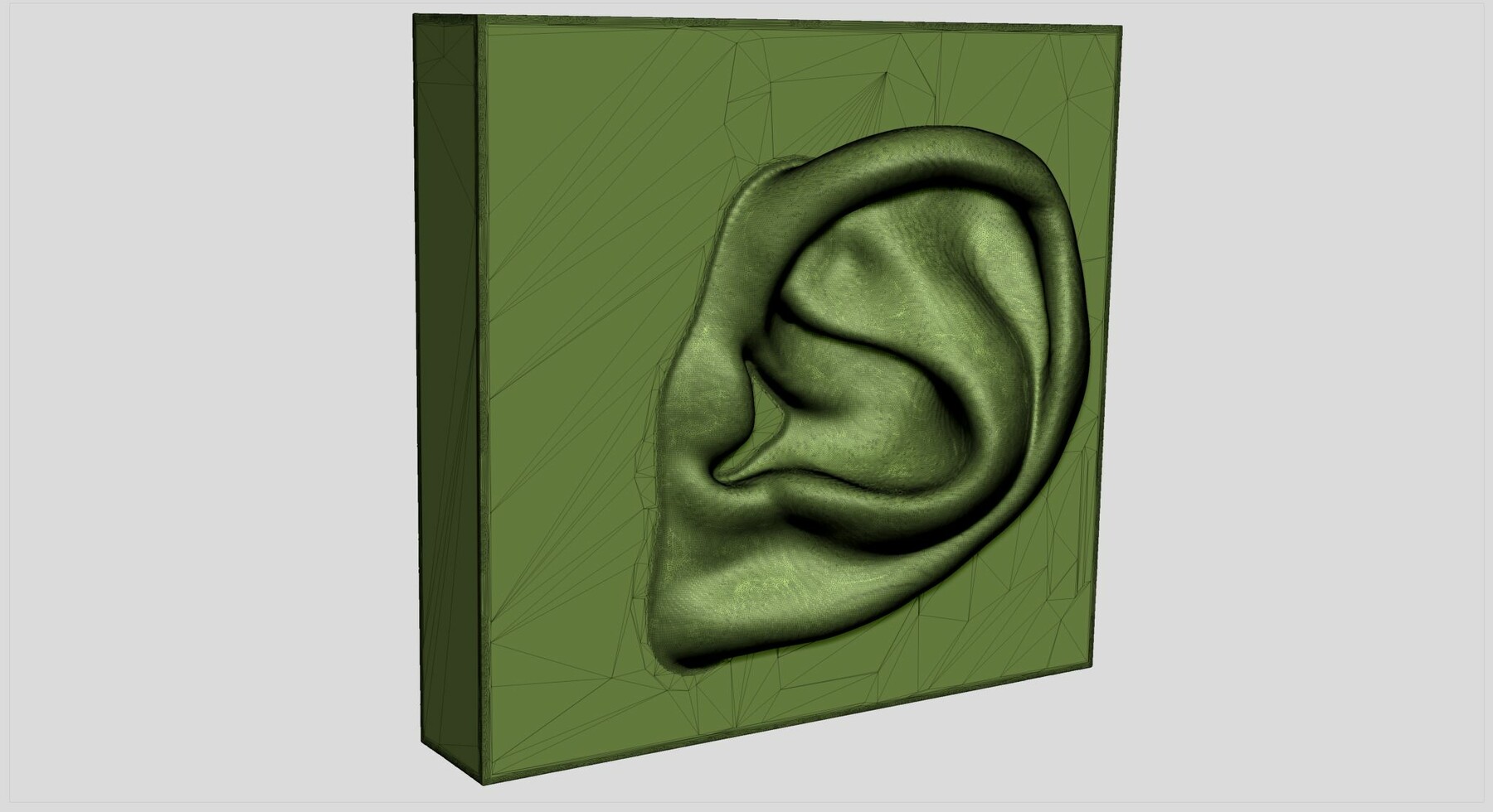 ArtStation - Ear Printable | Resources
