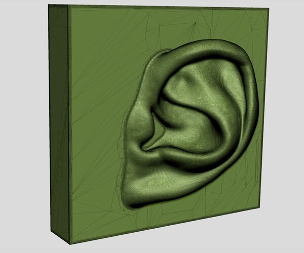 ArtStation - Ear Printable | Resources