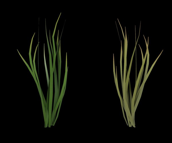 ArtStation - Grass Animated Dry and Fresh Low-poly 3D model | Game Assets