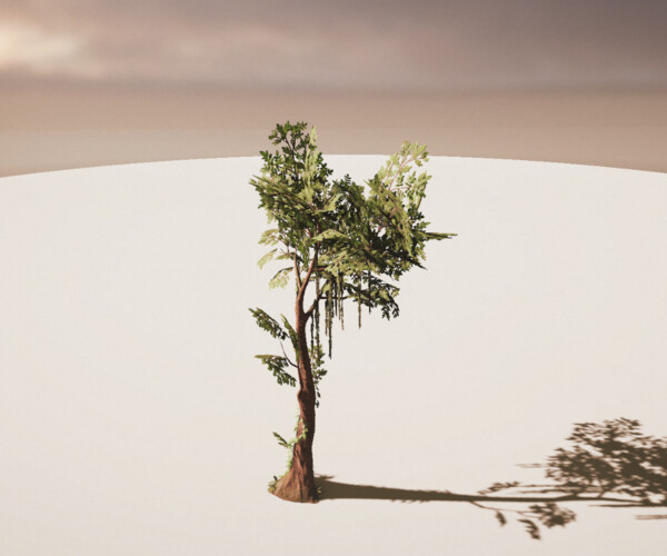 ArtStation - Jungle Tree | Game Assets