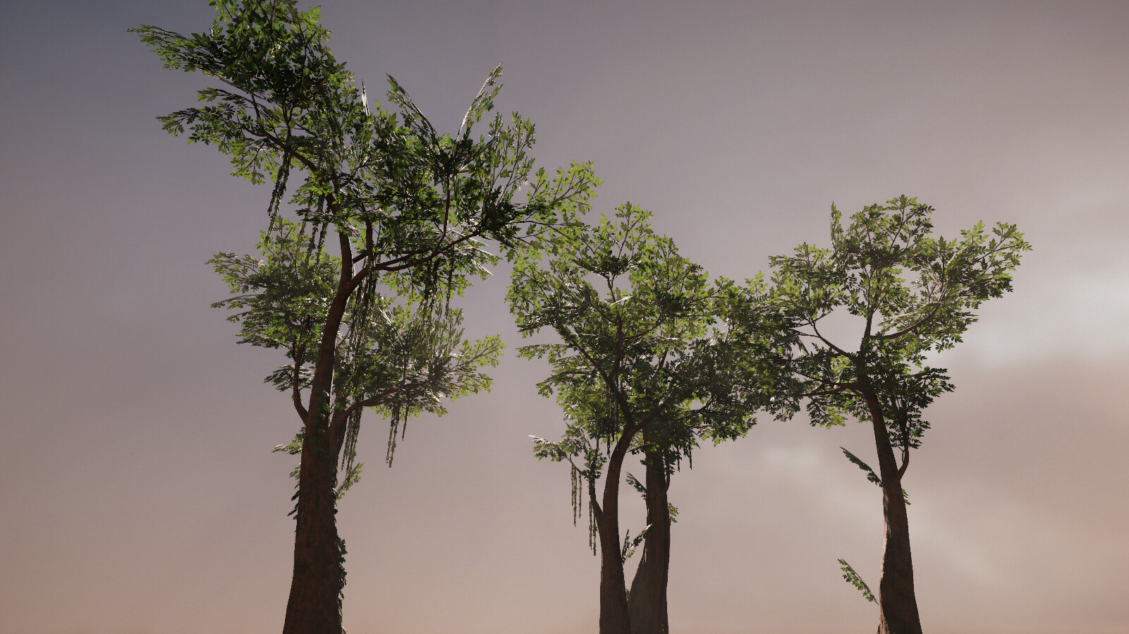 ArtStation - Jungle Tree | Game Assets