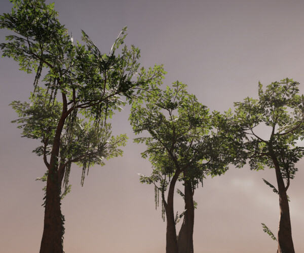 ArtStation - Jungle Tree | Game Assets