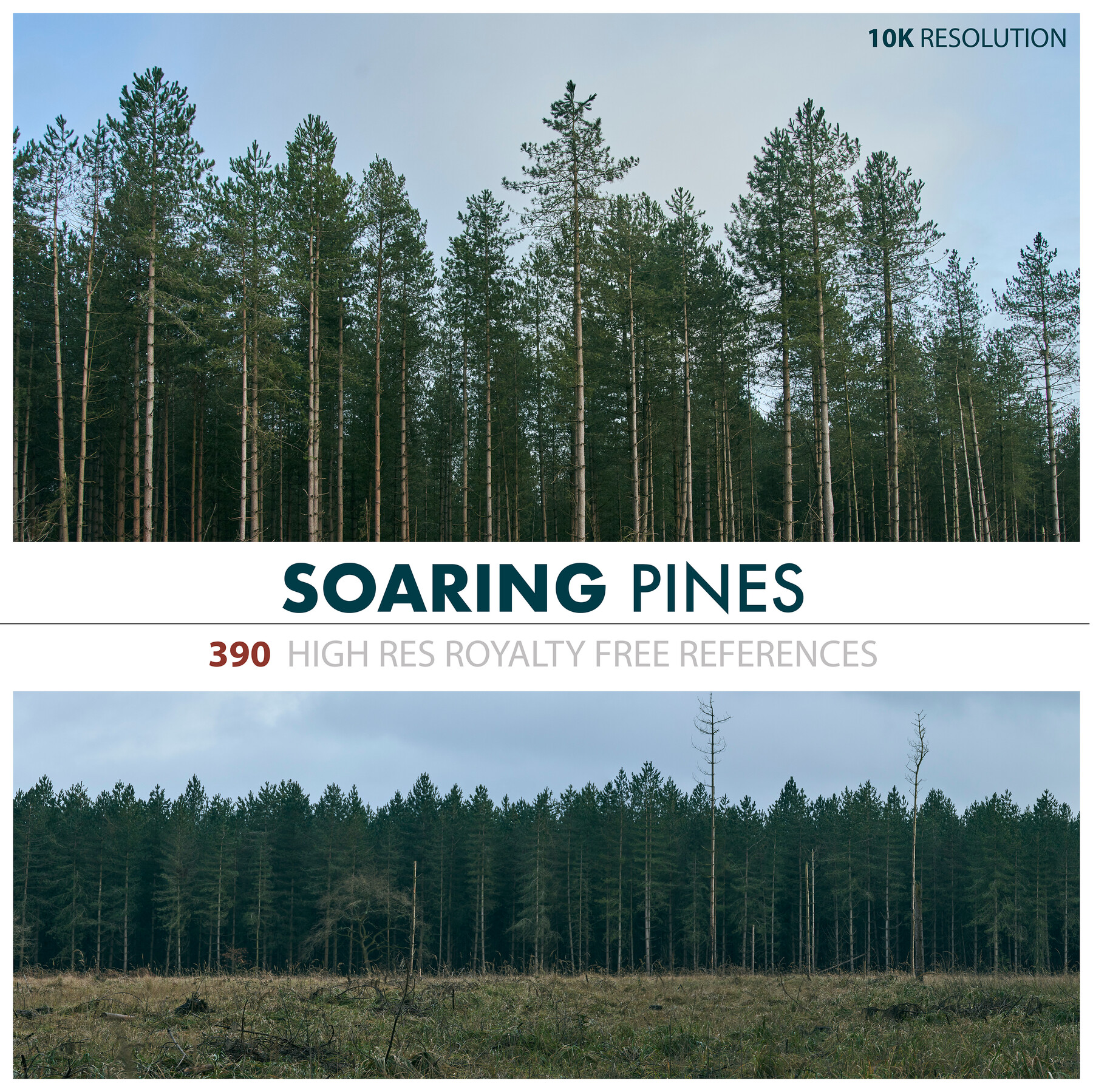 ArtStation - SOARING PINES | Resources