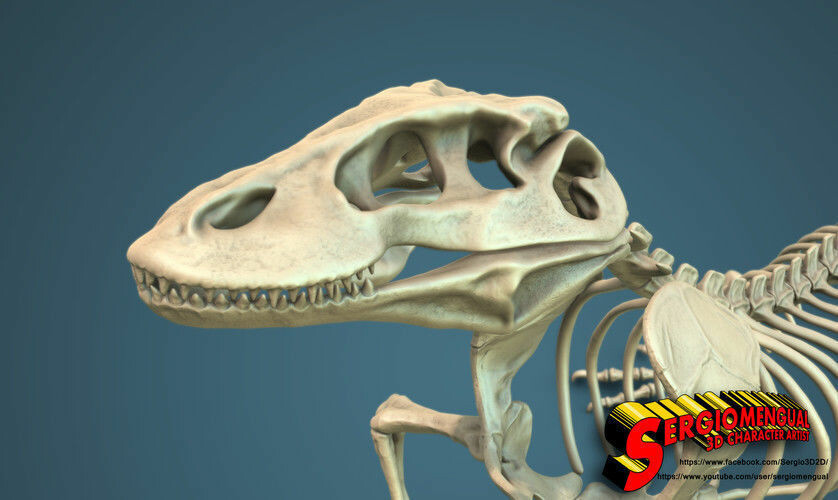 ArtStation - Komodo Dragon Skeleton 3D print model | Resources