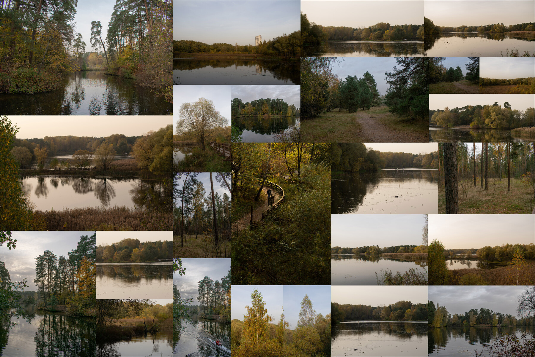 ArtStation - Forest Lake - Free Reference Pack | Resources