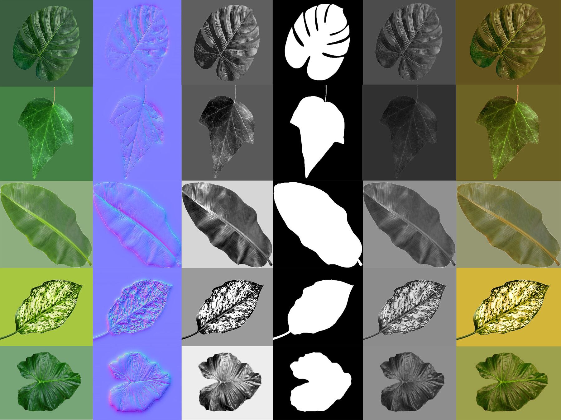 ArtStation - 16 HIGH QUALITY LEAVES ALBEDO/NORMAL/SUBSURFACE/GLISSINEES ...