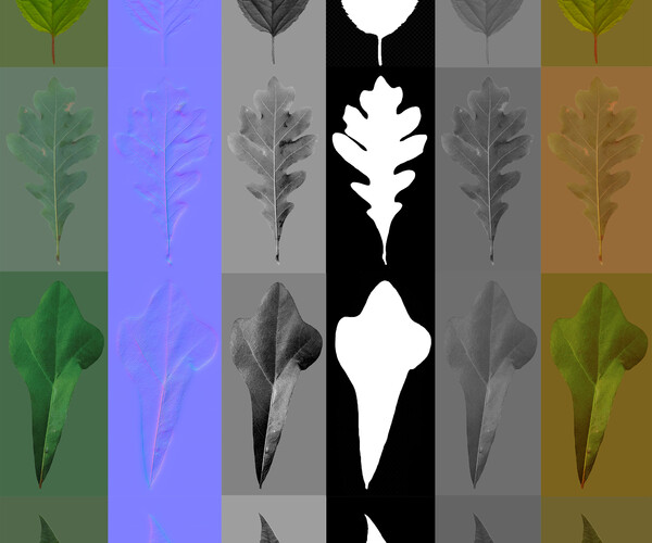 ArtStation - 16 HIGH QUALITY LEAVES ALBEDO/NORMAL/SUBSURFACE/GLISSINEES ...