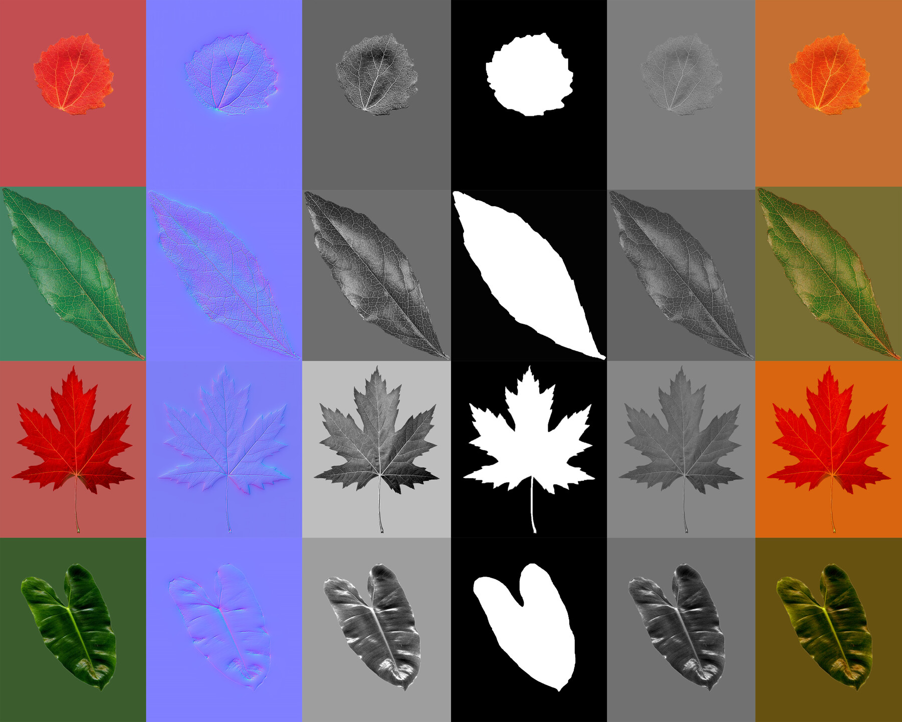 ArtStation - 16 HIGH QUALITY LEAVES ALBEDO/NORMAL/SUBSURFACE/GLISSINEES ...