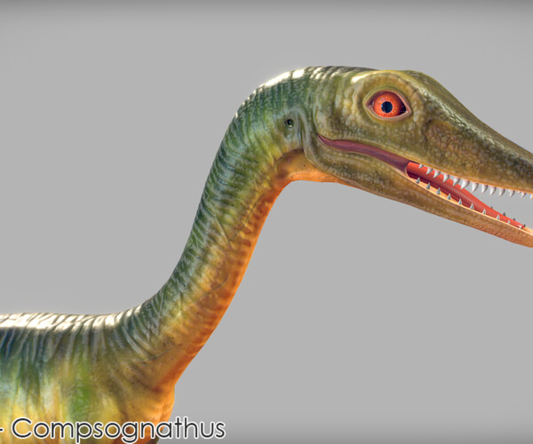 ArtStation - 3D Asset - Compsognathus | Game Assets
