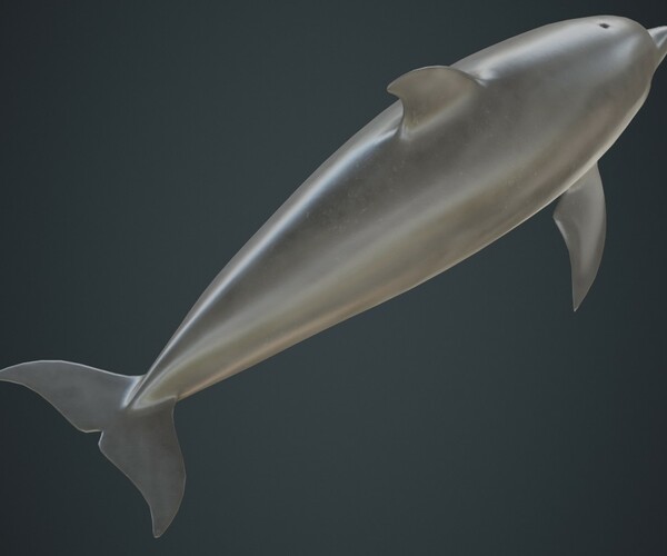 ArtStation - Dolphin 1A | Game Assets