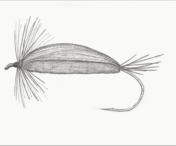 ArtStation - Humpy Fly Pattern | Artworks