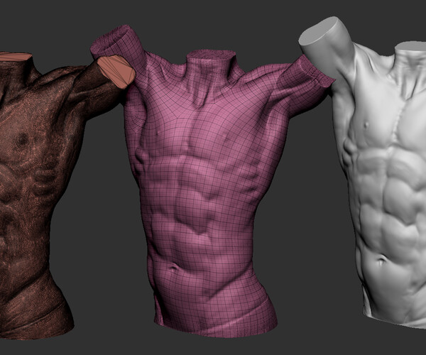 ArtStation - Male torso | Resources
