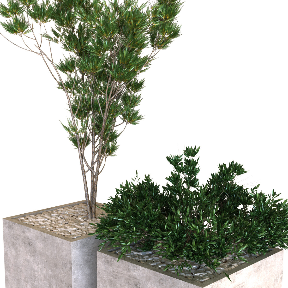 ArtStation - plants box set 09 | Resources