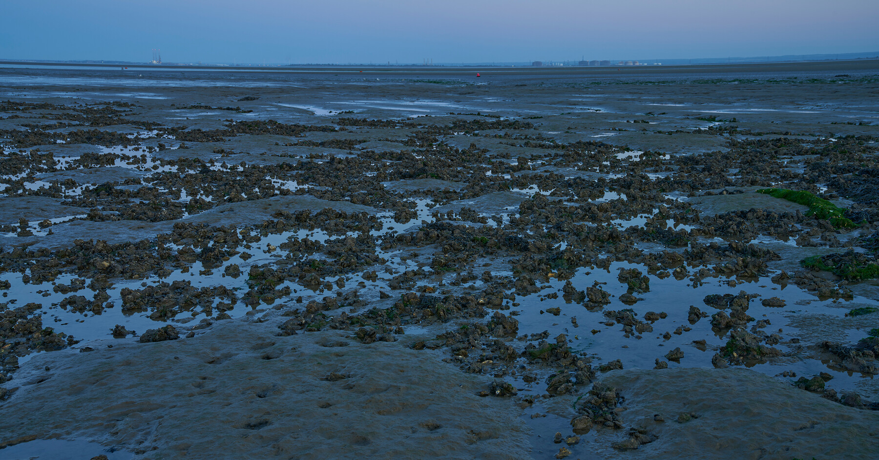 ArtStation - LOW TIDE MUD FLATS | Resources