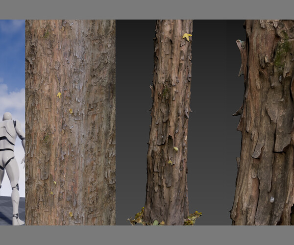 ArtStation - tree bark | Game Assets