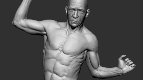 ArtStation - Realistic anatomy 3D print ready | Resources