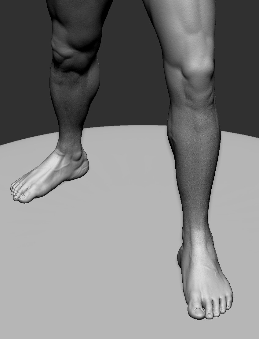 ArtStation - Realistic anatomy 3D print ready | Resources