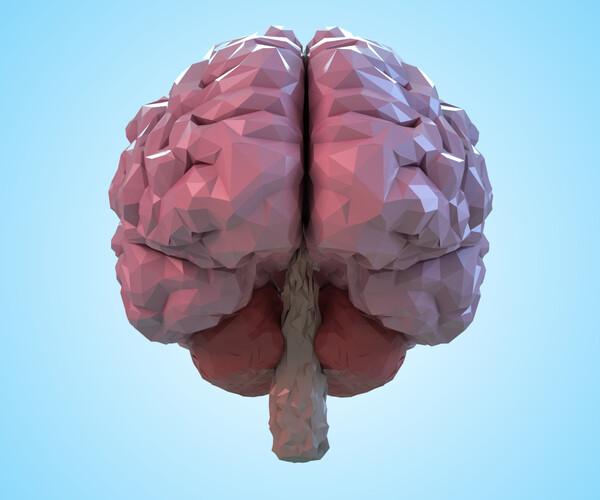 ArtStation - Brain Low-poly | Resources