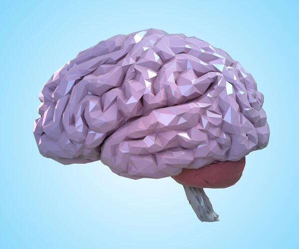 ArtStation - Brain Low-poly | Resources