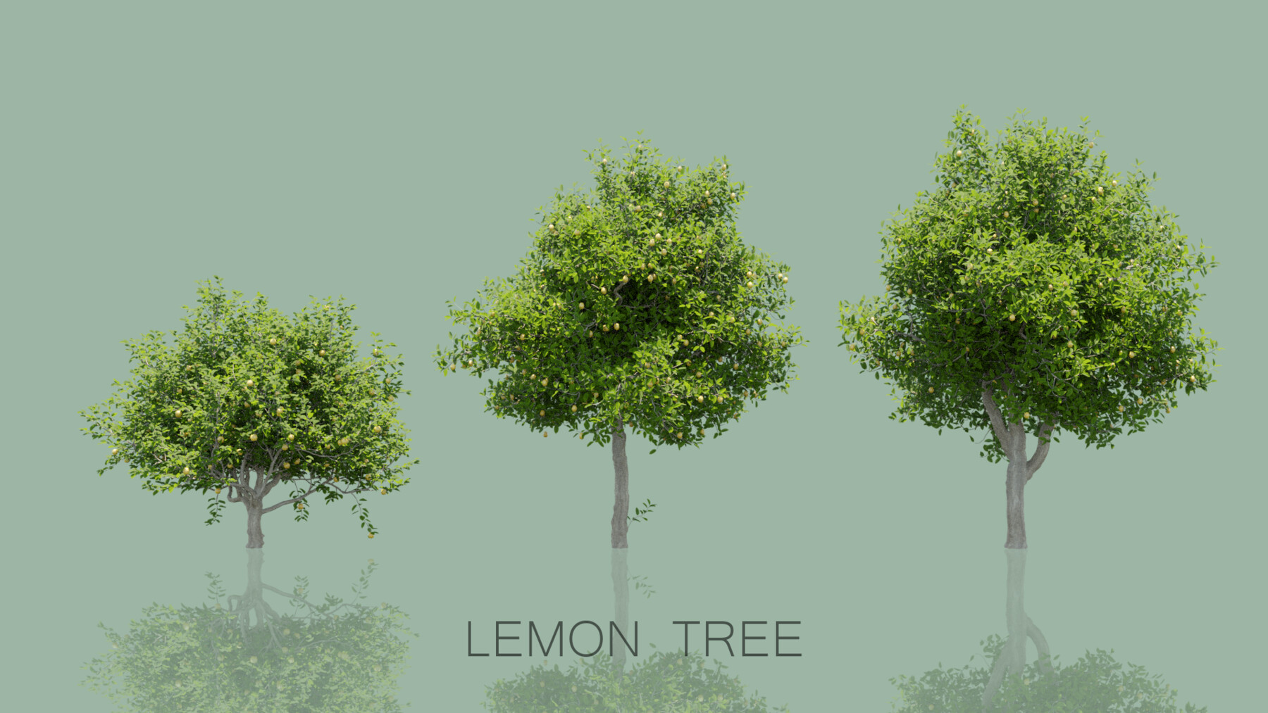 ArtStation - Lemon Trees | Game Assets