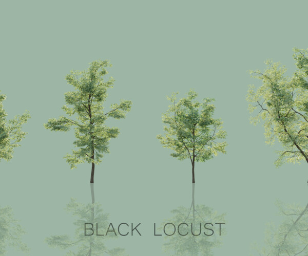 ArtStation - Black Locust Tree | Game Assets