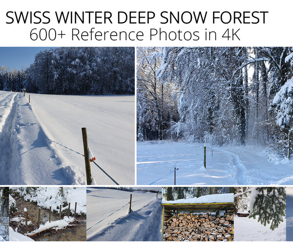 ArtStation - Swiss Winter Deep Snow Forest 600+ Reference Photos in 4k ...