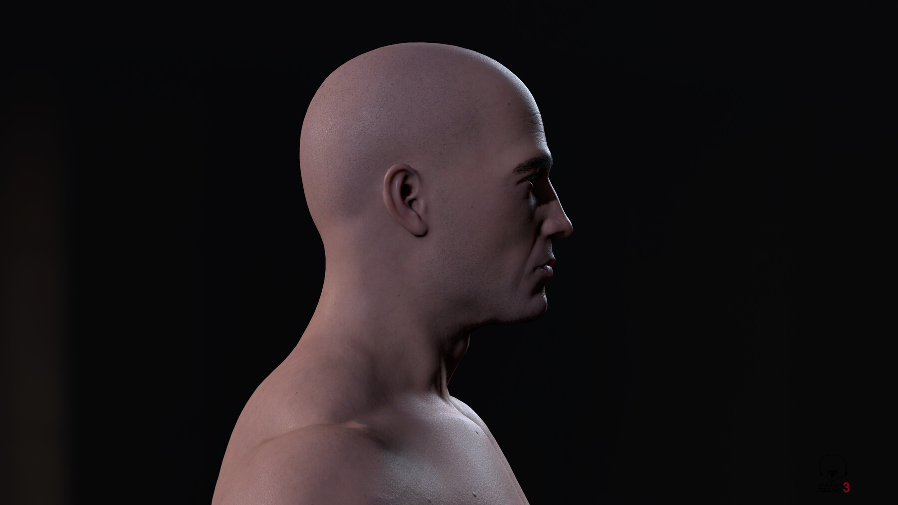 ArtStation - Male Body | Game Assets