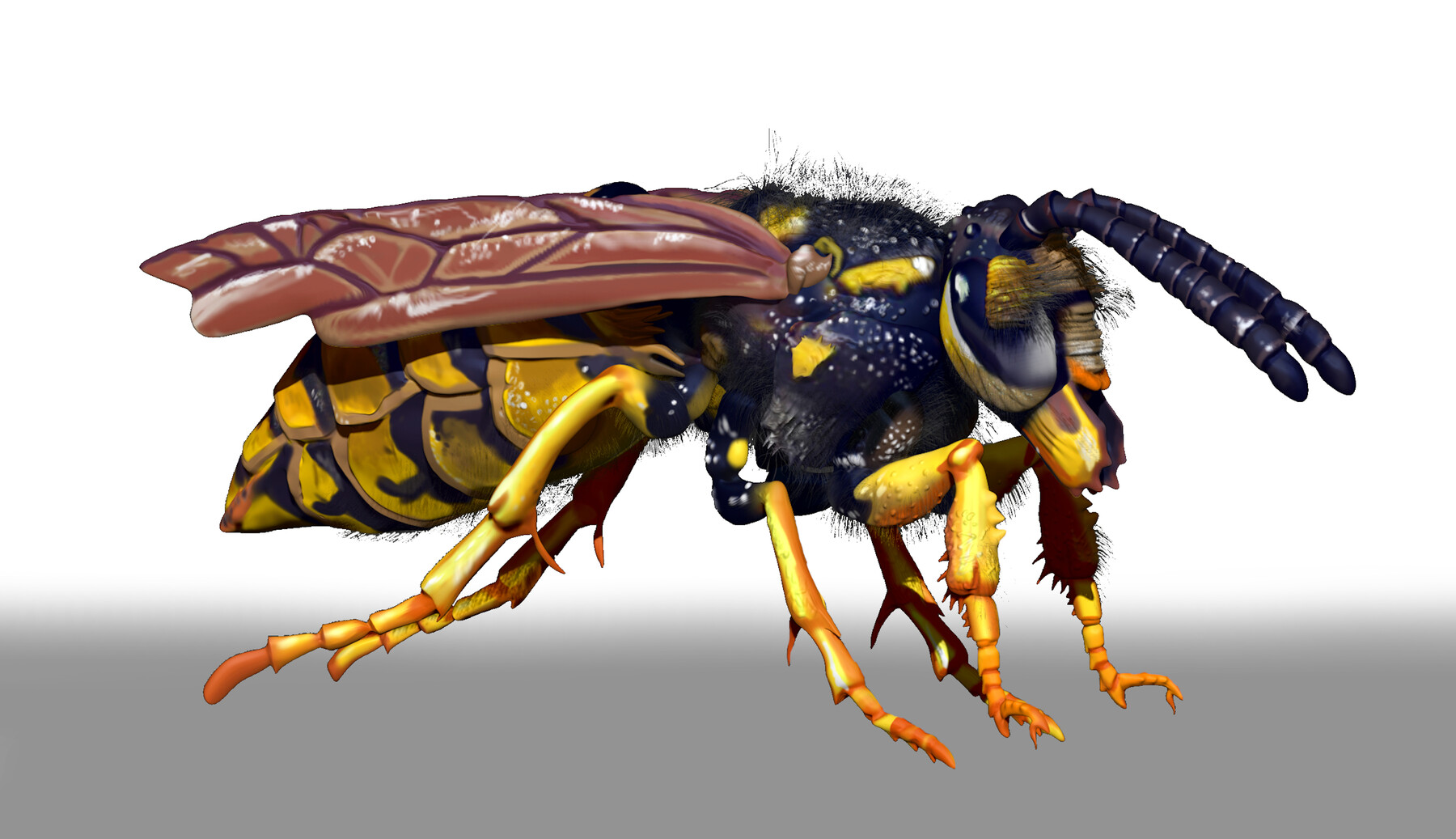 ArtStation - Wasp Character Sculpt | Game Assets