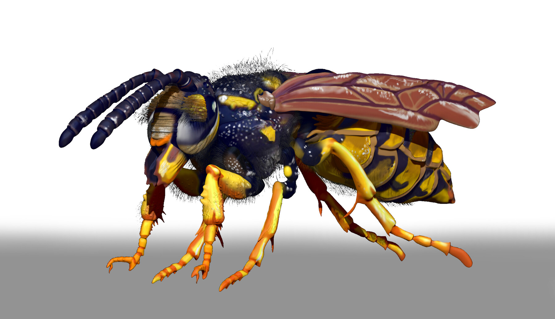 ArtStation - Wasp Character Sculpt | Game Assets