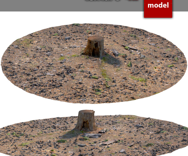 ArtStation - 257 Stump | Resources