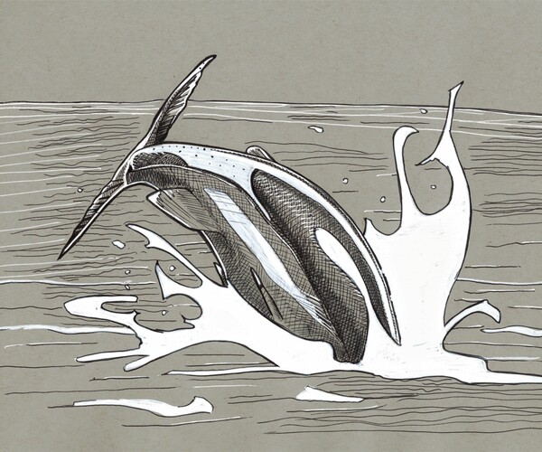 ArtStation - Tail Splash | Artworks