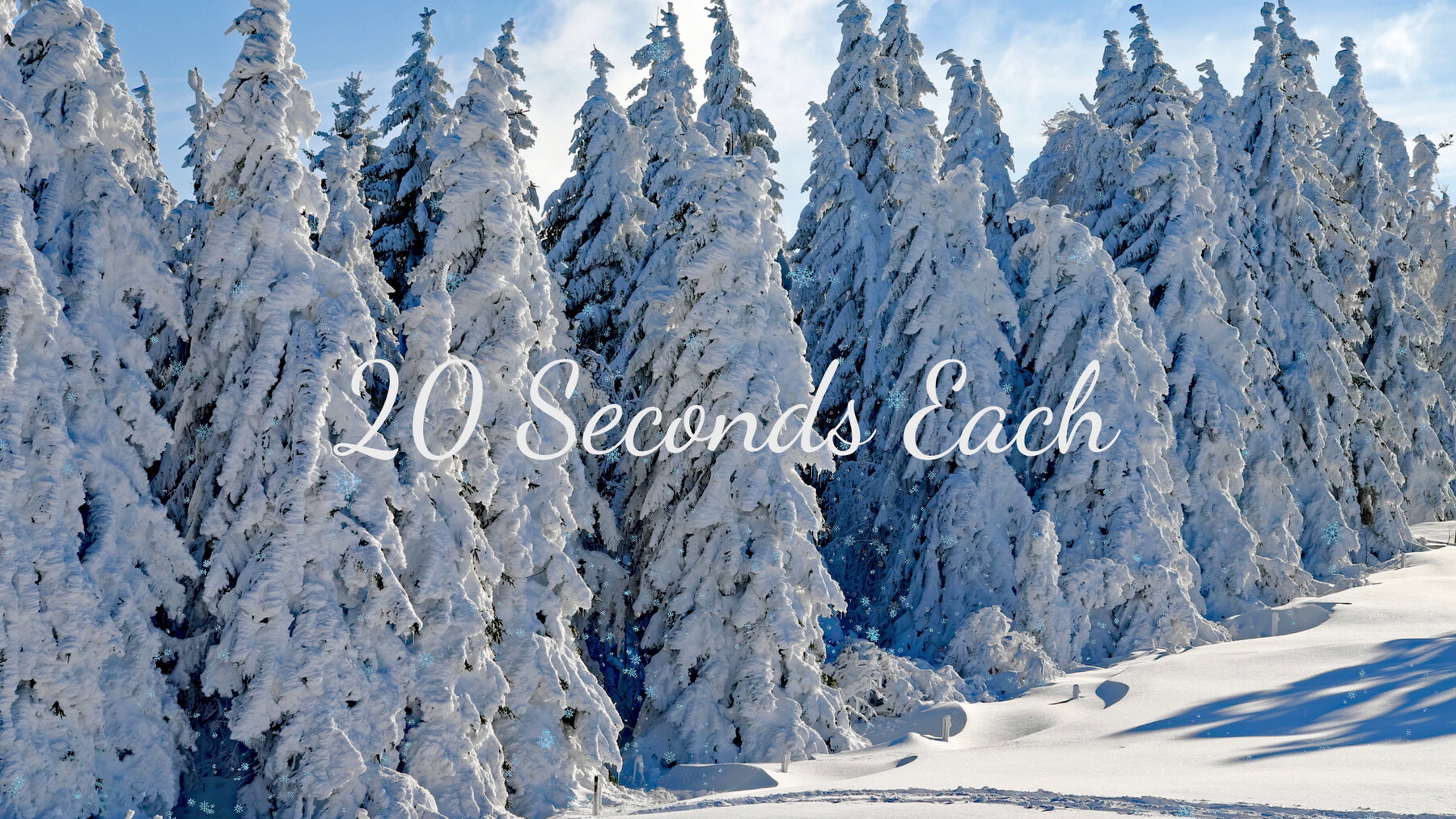 ArtStation - Snow Overlay Pack | Resources