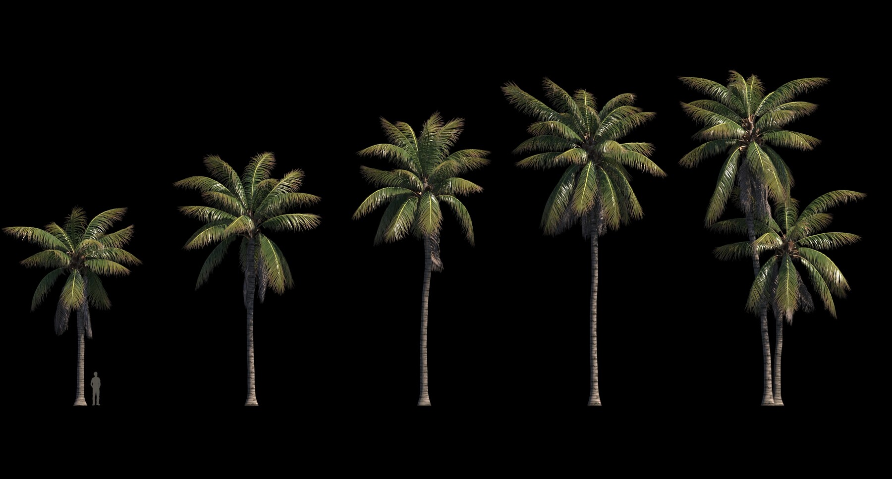 ArtStation - COCONUT TREE VOLUME PACK 01 | Resources