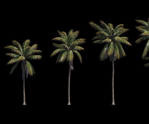ArtStation - COCONUT TREE VOLUME PACK 01 | Resources