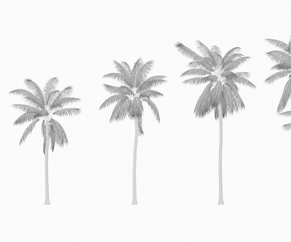 ArtStation - COCONUT TREE VOLUME PACK 01 | Resources