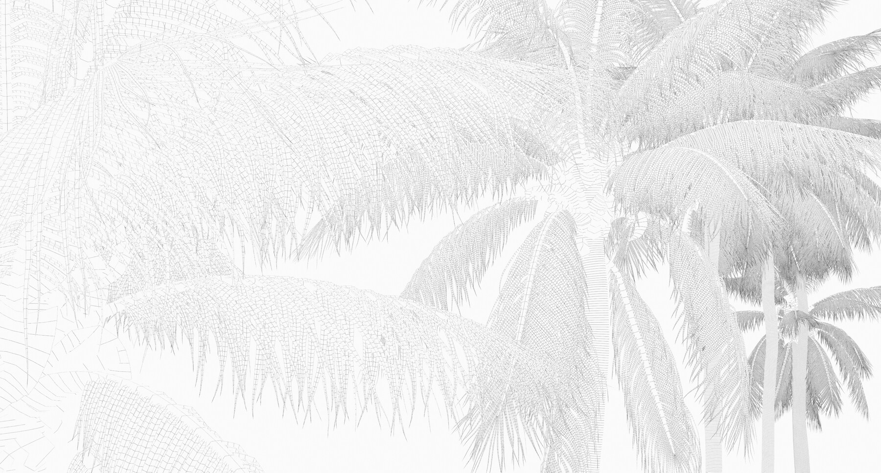ArtStation - COCONUT TREE VOLUME PACK 01 | Resources